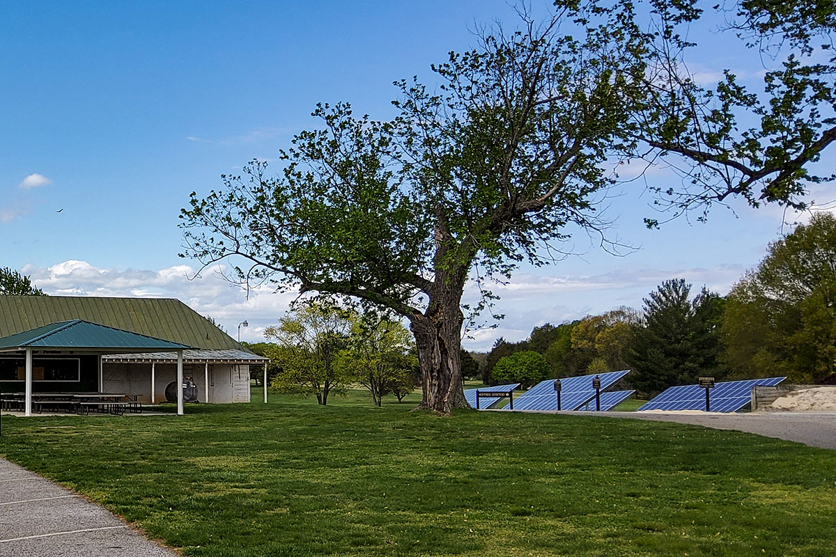 Winton Solar Array Installation - Commonwealth